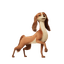The Queen's Corgi
